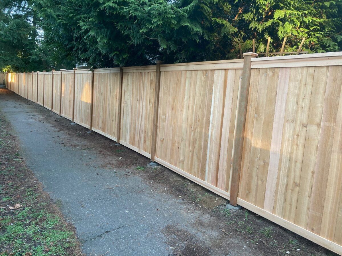 Explore the Unique Appeal of Modified Panel Fences by Atomic Fence