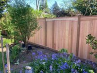 Explore the Unique Appeal of Modified Panel Fences by Atomic Fence